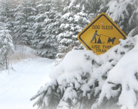 Boreal Climate and Energy